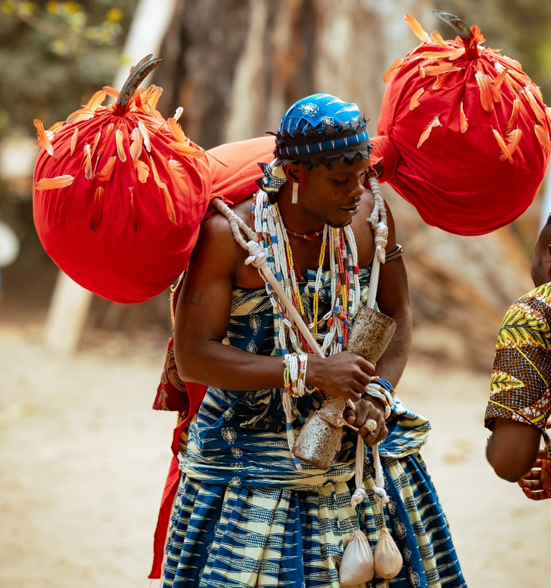 About Vodun Days